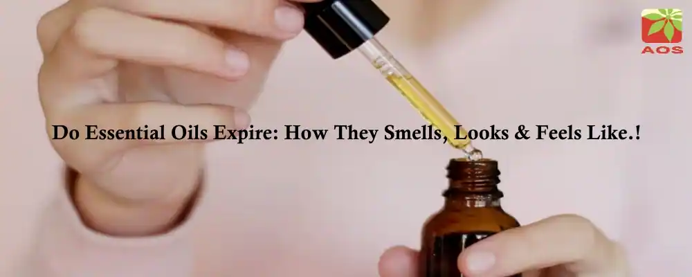 Do Essential Oils Expire: Know How They Smell| AOS Blog