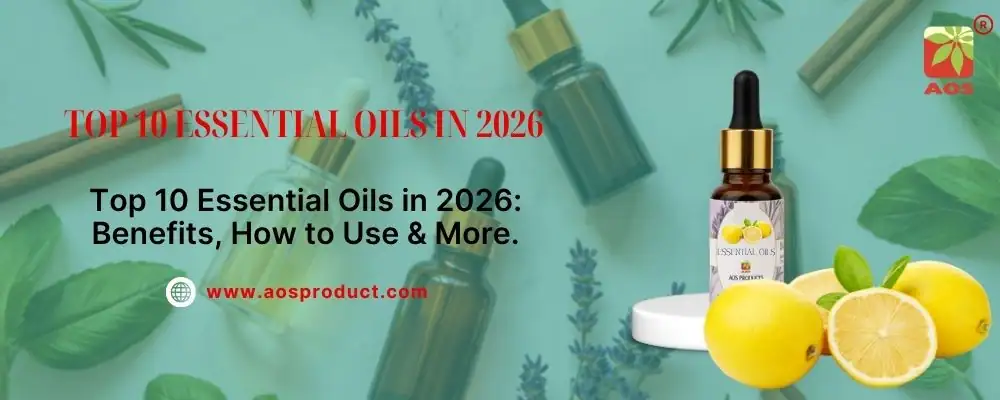 Top 10 Essential Oils in 2026 - Benefits, How to Use | AOS Blog