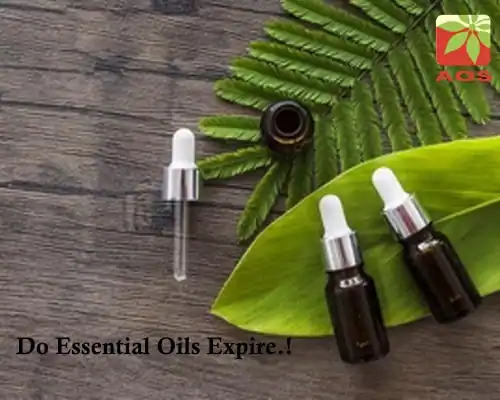 Do Essential Oils Expire: Know How They Smell| AOS Blog