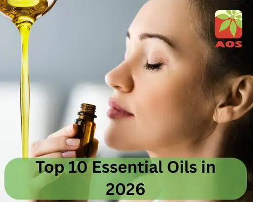 Top 10 Essential Oils in 2026 - Benefits, How to Use | AOS Blog