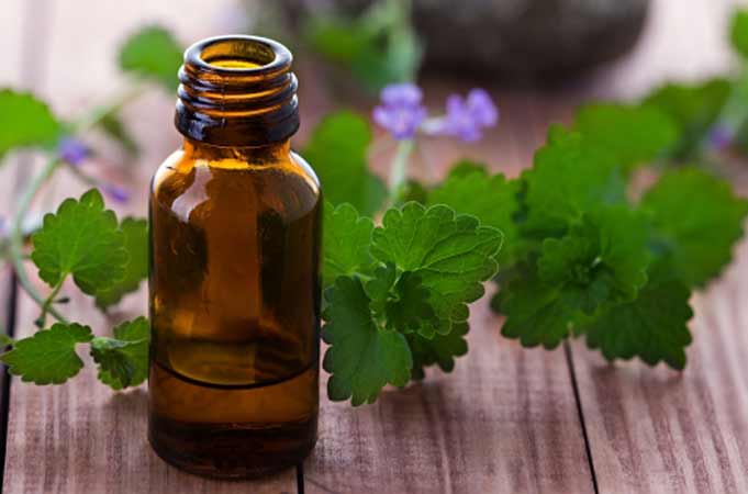 Natural Oils -Uses, Benefits, Extraction Process, and More