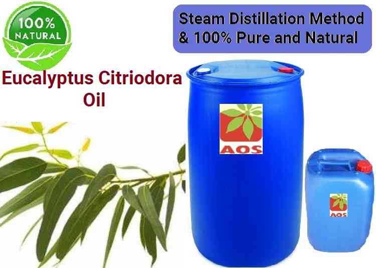 Eucalyptus Citriodora Oil - Uses, Benefits of Pure Essential Oil