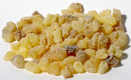 Olibanum Oil Manufacturers India : AOS Products Pvt Ltd