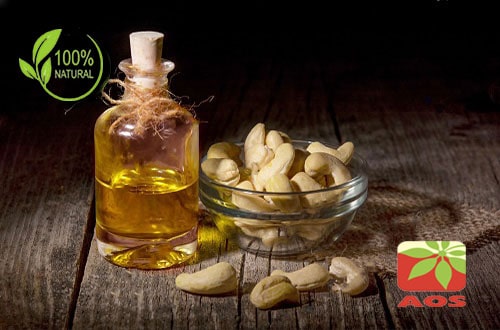Cashew Nut Oil : Uses and Benefits - Manufacturer & Exporter