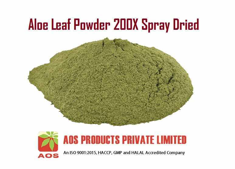 Aloe Vera Numerous Benefits - Manufacturers and Exporters