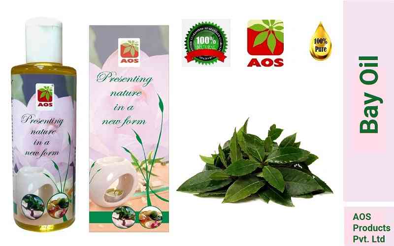 17 Health Uses Bay Oil, Benefits for Skin, Joint Pain, Flu - Manufacturer