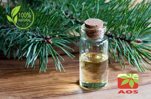 Pine Oil : Uses, Benefits and Properties - AOS Products Manufacturer ...