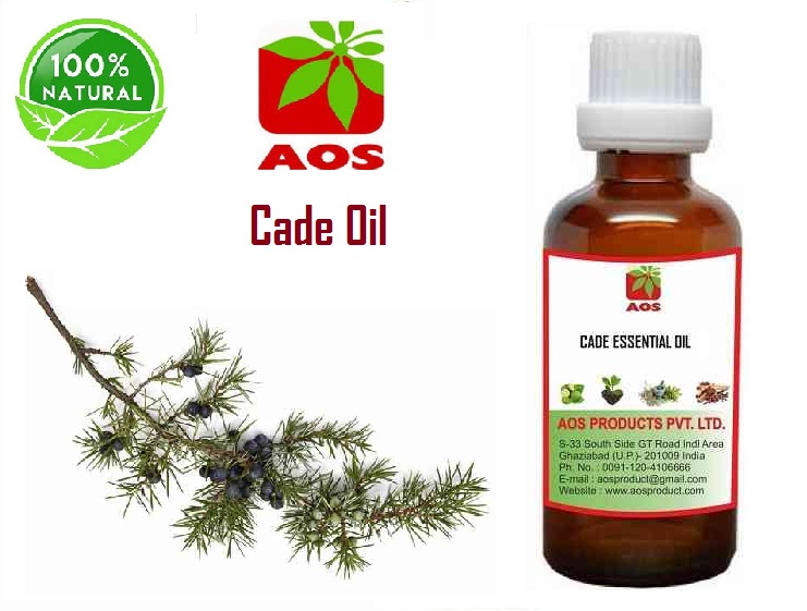 6 Classical health benefits and uses Cade Oil - Buy at Wholesale price