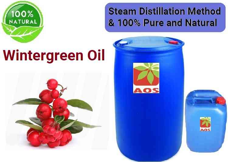 Wintergreen or Gandhapura Oil- Uses, Benefits and Properties