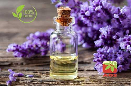 Lavender Oil Health Benefits and Uses -Manufacturer & Exporter