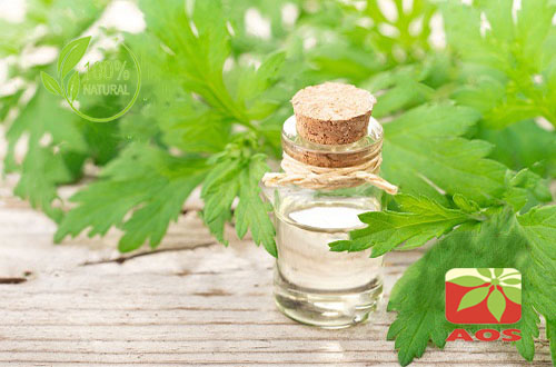 Aromatherapy Oils - Buy Pure Oil for Cosmetic and Therapeutic