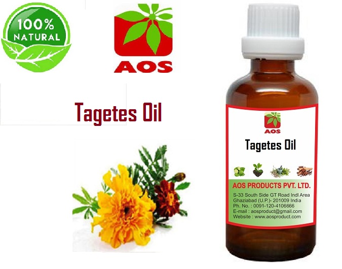 5 health benefits of Tagetes Oil for coughs, Best Uses in Scents, Food