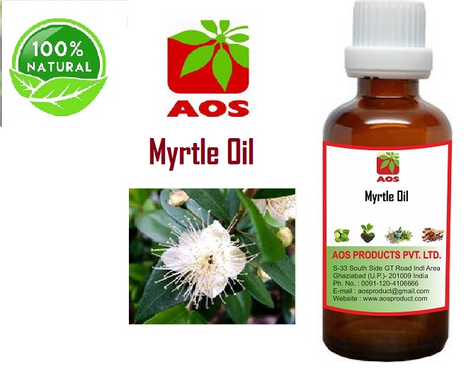 5 Impressive Uses of Myrtle Oil for Scents, Benefits in Thyroid - Buy Now