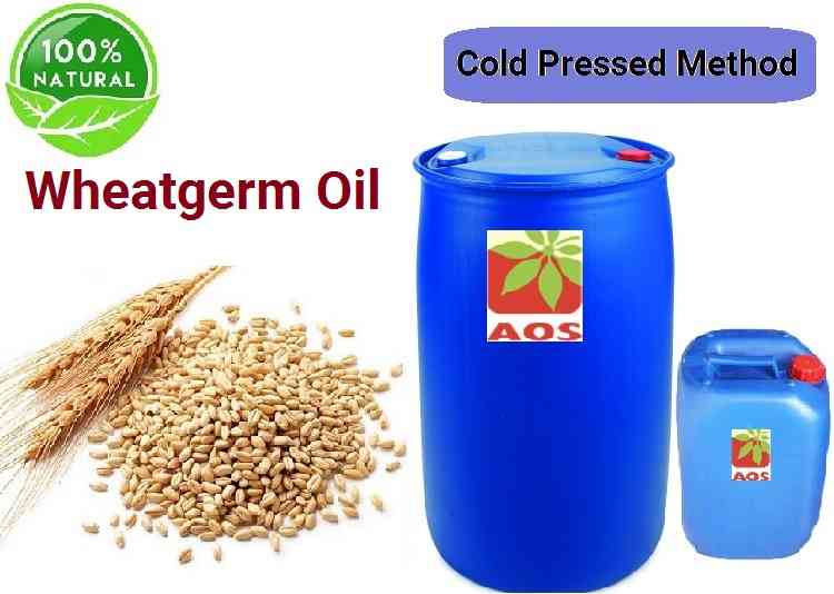 Wheat germ Oil- Uses and Benefits | Wheat Germ Oil BP,USP