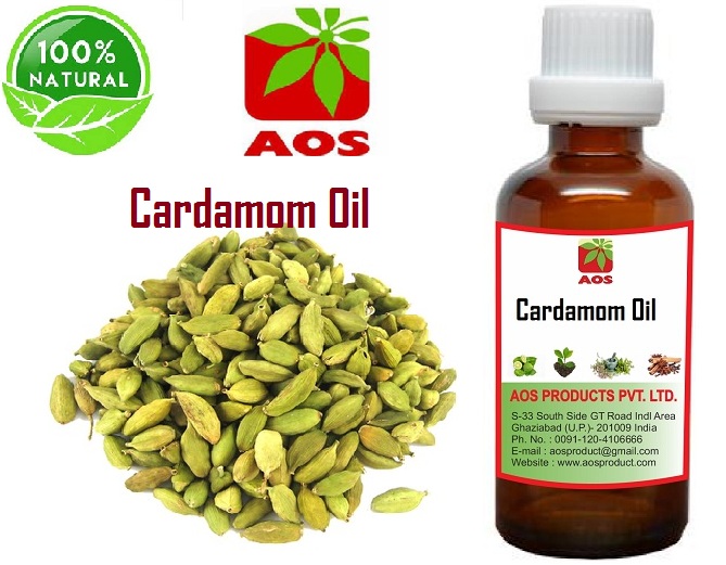10 Uses of Cardamom oil, Benefits in Scents - Wholesale Manufacturers