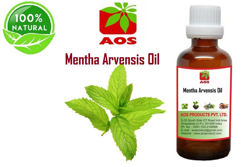 Menthol and Mint Oils Uses and Benefits - Unique Quality, Factory Price