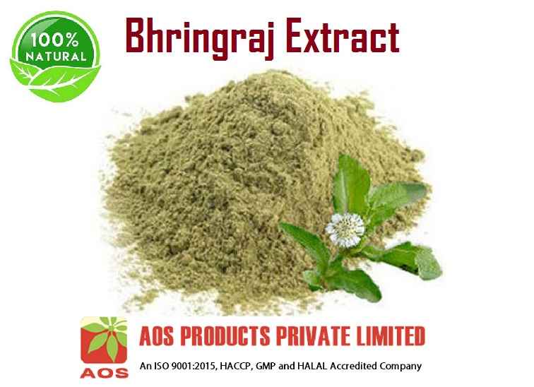 Bhringraj Extract- Uses,Benefits,Properties of Bhringraj Extract