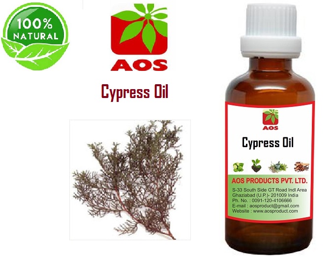 Cypress Oil Indian Exporters and Manufacturers - AOS Products