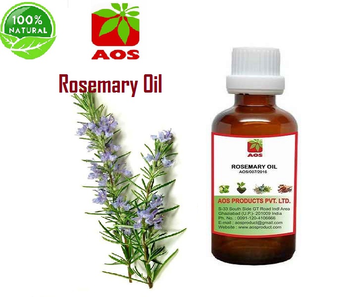 8 Health Benefits of Rosemary Oil, Uses in Skin Acne, Hair Manufacturer