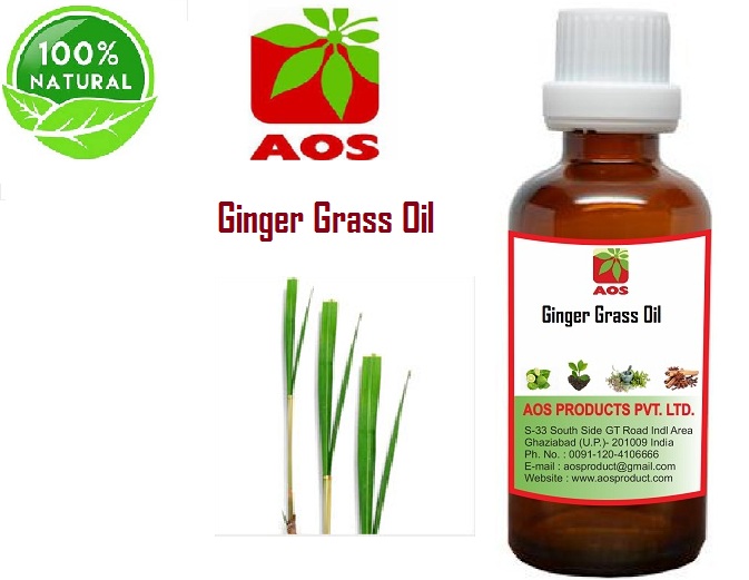 Ginger Grass Oil Wholesale Manufacturers in India - Wholesale Price