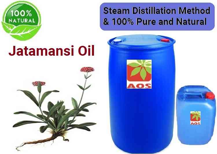 Jatamansi Oil: 7 Uses and Benefits - Manufacturer and Exporter