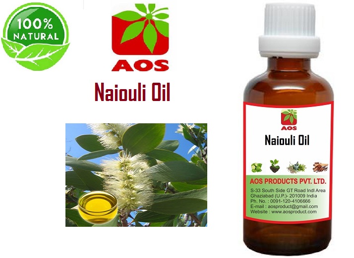Naiouli Oil Proven Uses and Benefits - AOS Products Pvt Ltd
