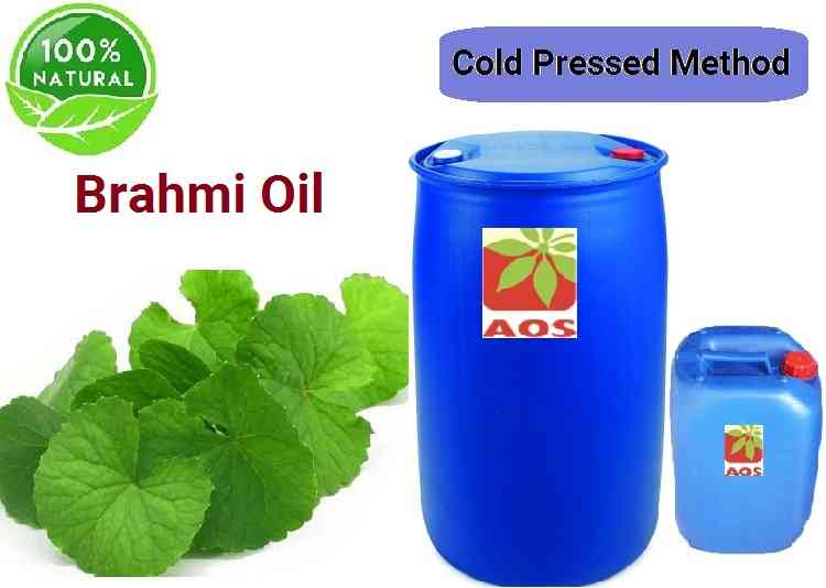 Brahmi Oil - Uses, Benefits, Extraction Process of Brahmi Oil