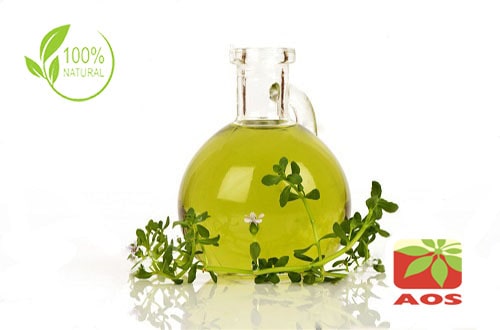 Brahmi Oil : Benefits and Specification - Manufacturer & Exporter