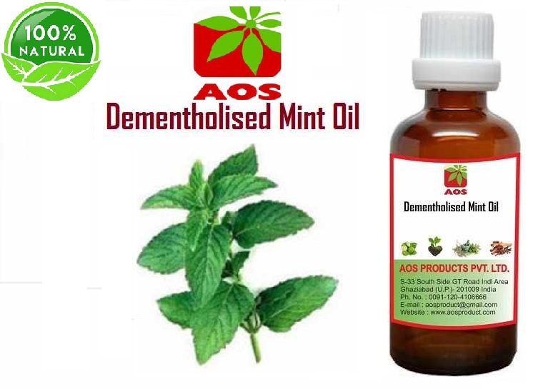 Menthol and Mint Oils Uses and Benefits - Unique Quality, Factory Price