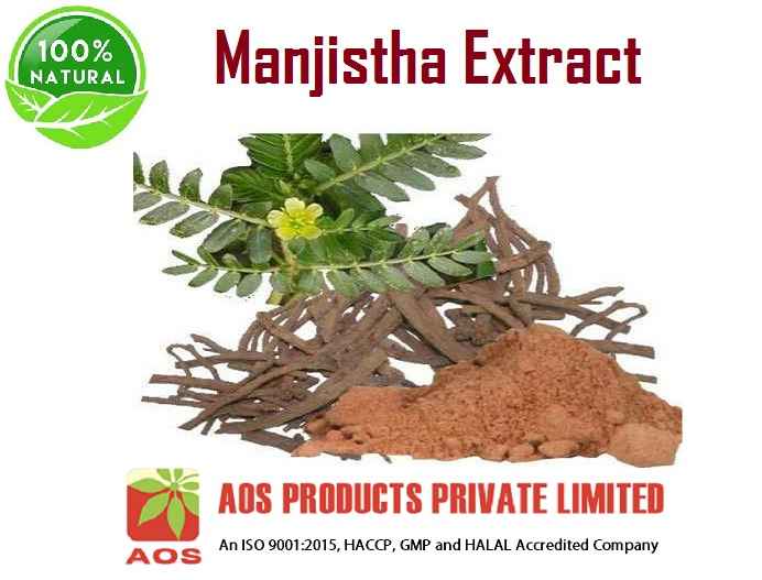 7 Benefits and Uses of Manjistha Extract for Skin - Wholesale Exporters