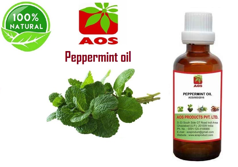 Menthol and Mint Oils Uses and Benefits - Unique Quality, Factory Price