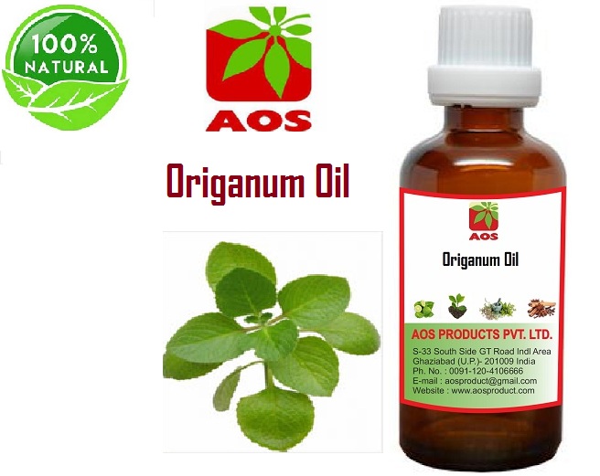 6 Health Uses of Origanum Oil, Benefits for Respiratory - Manufacturers