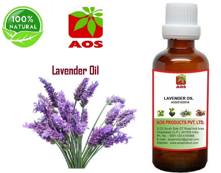 12 Benefits, Uses of Lavender Oil in hair, Skin - Wholesale Manufacturer