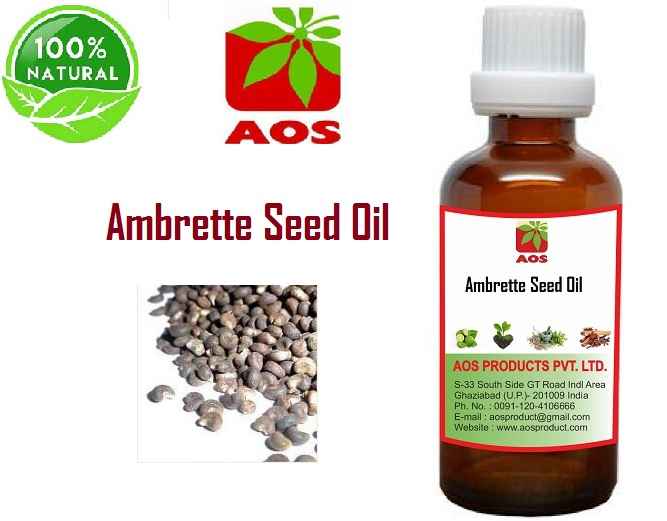 6 Benefits of Ambrette seed oil - Manufacturers, Exporters