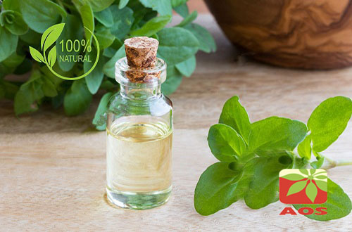 Origanum Oil - Uses, Benefits, Properties | AOS Products Manufacturer ...