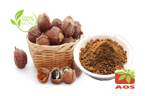 Reetha Extract Uses, Benefits : AOS Products Manufacturer