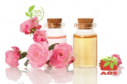 Rose Oil Benefits and Uses : AOS Products Manufacturer & Supplier