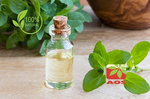 Origanum Oil - Uses, Benefits, Properties | AOS Products Manufacturer ...