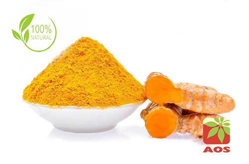 Curcumin Powder - Uses, Benefits | AOS Products Manufacturer & Supplier