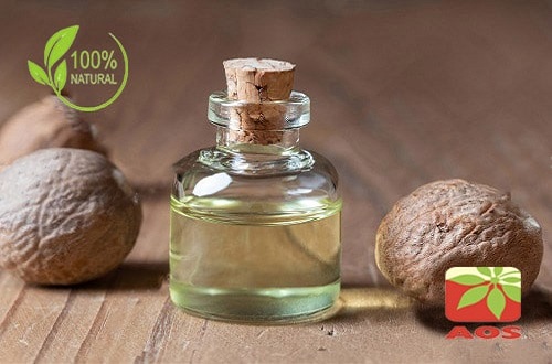 Nutmeg Oil - Uses, Benefits and Properties of Essential Oil
