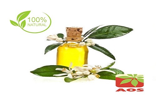Amyris Oil : Uses and Health Benefits - Manufacturer & Exporter
