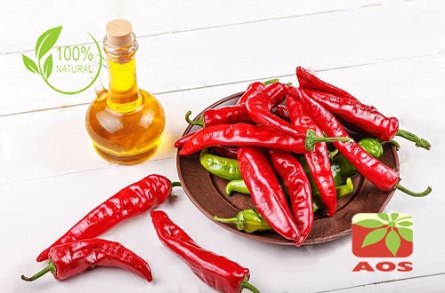 Capsicum Oleoresin- Uses,Benefits,Properties|Spice Oleoresin