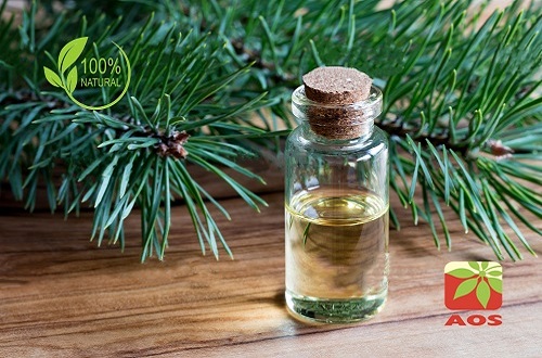 Pine Oil : Uses, Benefits and Properties - AOS Products Manufacturer ...