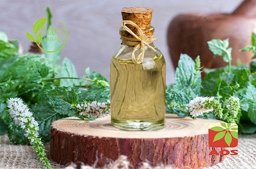 Peppermint oil BP, IP, USP : Uses, Benefits and Properties - AOS ...